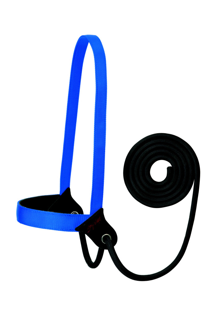 Stacy Westfall Catch Halter Blue Average Weave | 35-7953-BL