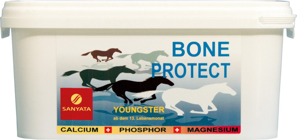 BONE PROTECT | 22060670